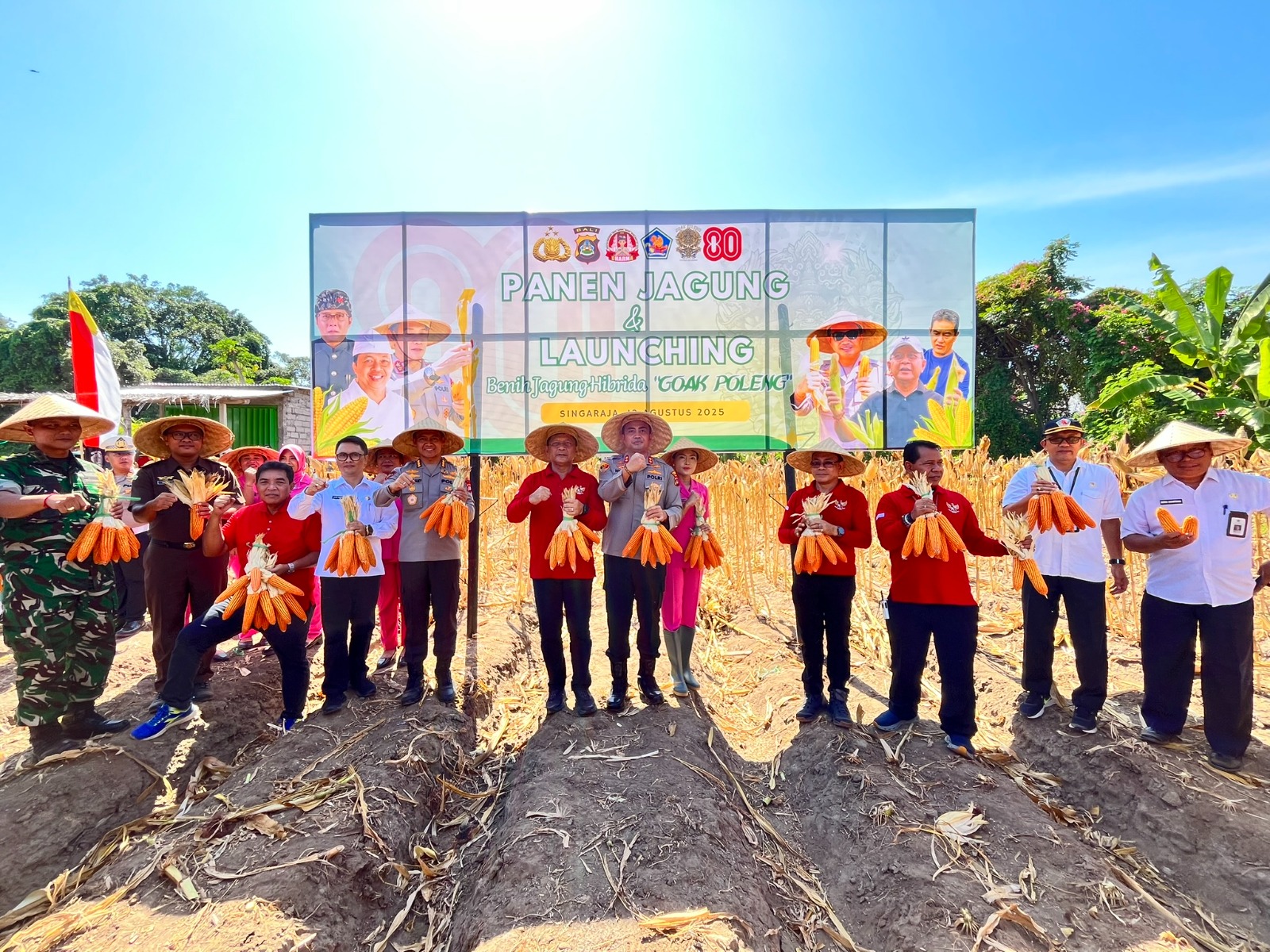 HUT Proklamasi RI 2025: Wujud Kemandirian Pangan, Bibit Jagung Goak ...
